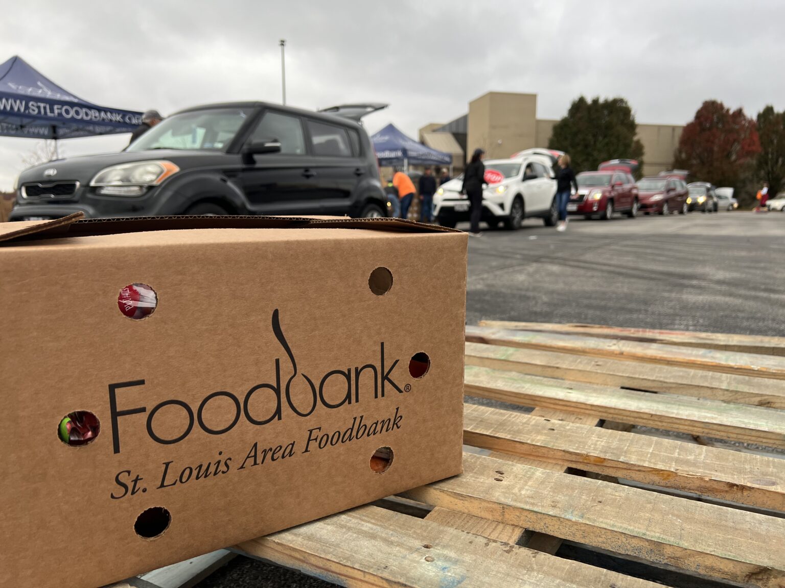 St. Louis Area Foodbank | Volunteer Opportunities