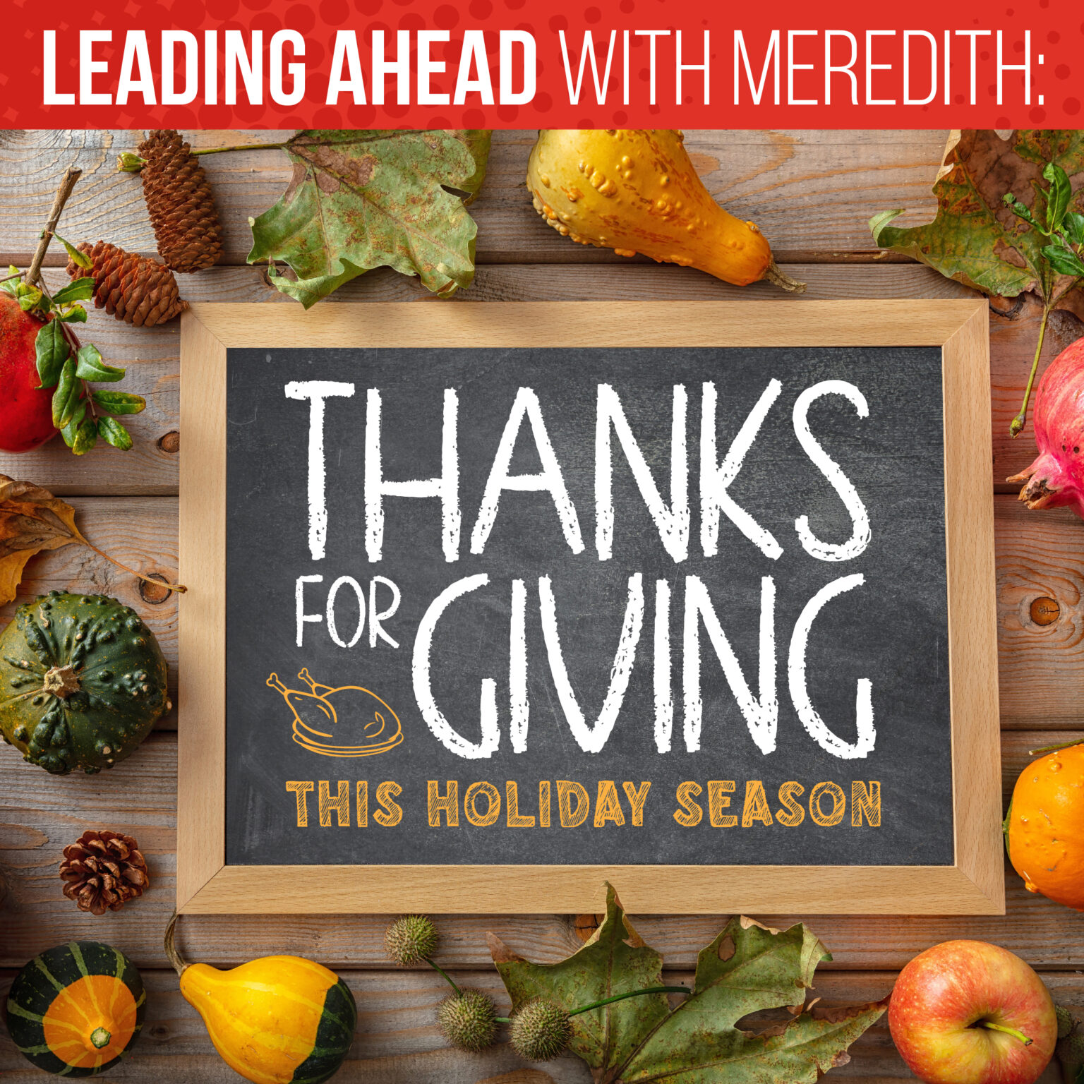 Thanks for Giving this Holiday Season! | St. Louis Area Foodbank